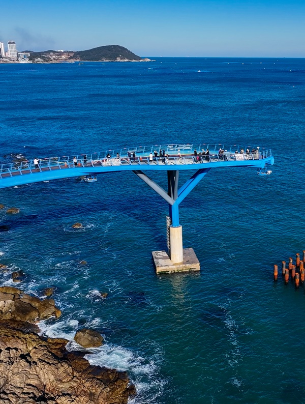 Visit Busan : The Official Travel Guide to Busan Metropolitan City